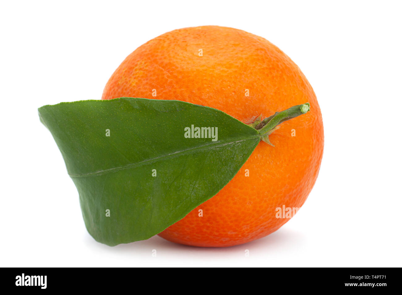 Clementines with leaf Cut Out Stock Images & Pictures - Alamy