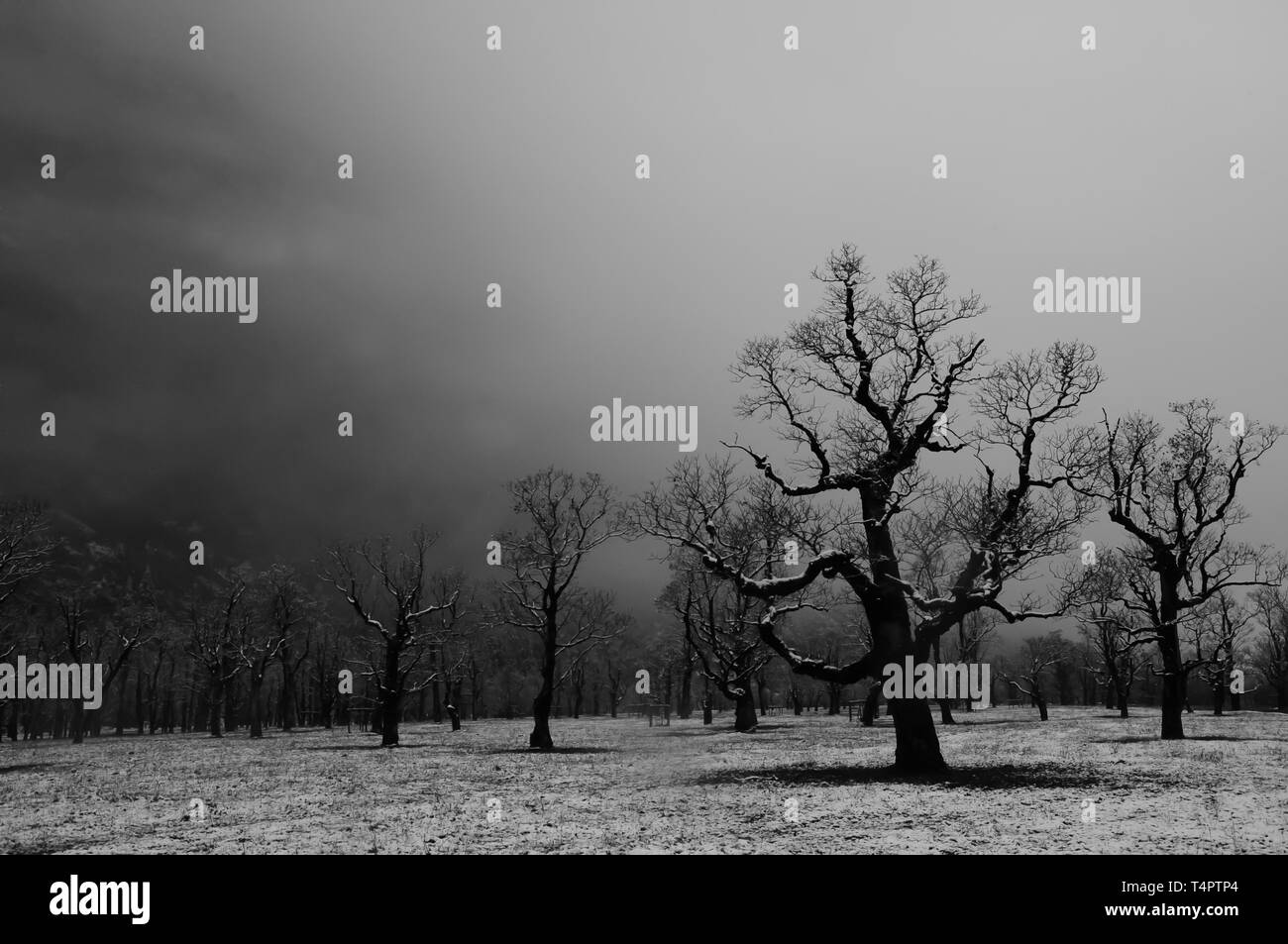 Eng Alm High Resolution Stock Photography and Images - Alamy
