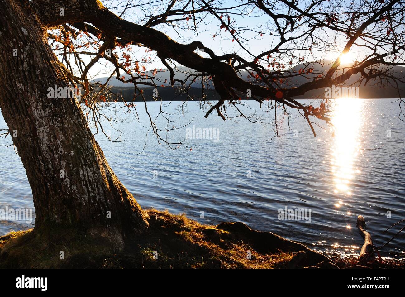 Autumn in uffing in the staffelsee hi-res stock photography and images ...