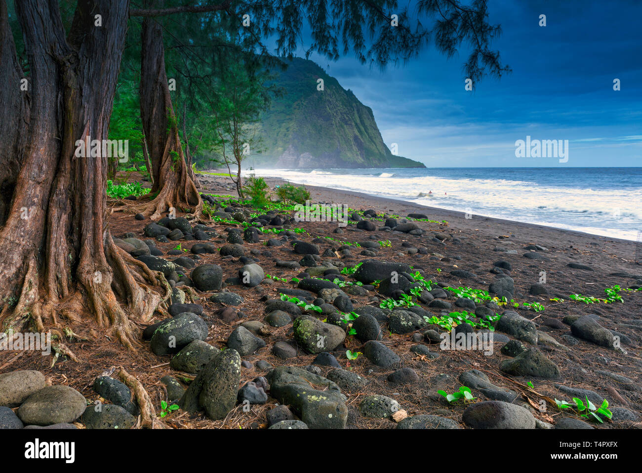 with its massive volcanoes, sunset beaches, milky way and lush rain ...