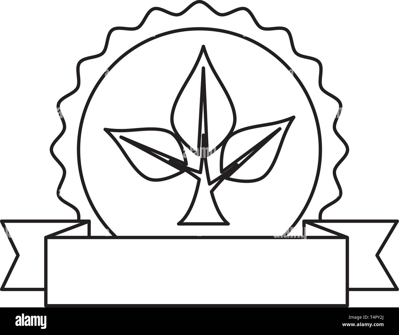 Circular floral foliage botanical Black and White Stock Photos & Images ...