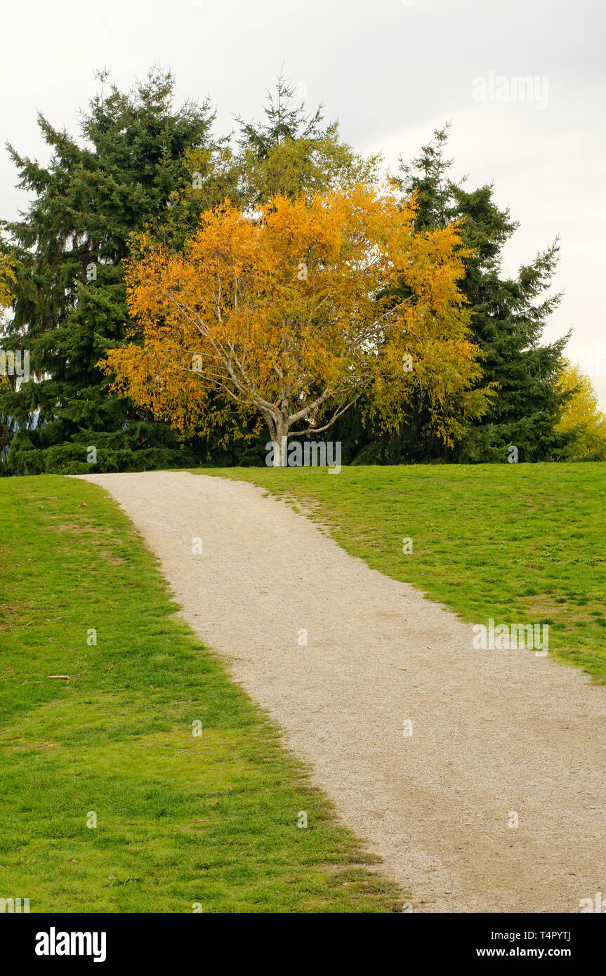 Golden pathway hi-res stock photography and images - Alamy