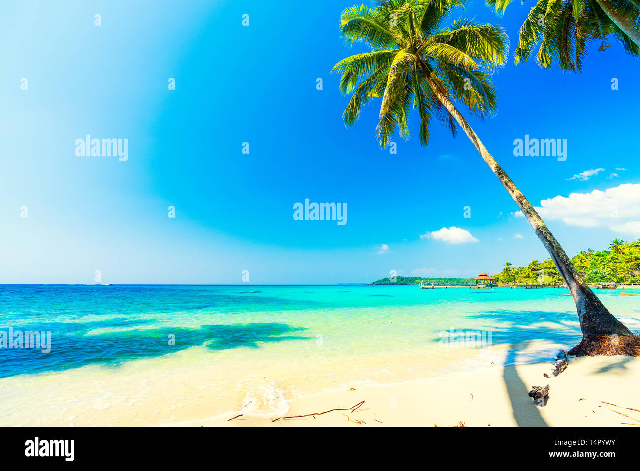 Jetty beautiful untouched beach hi-res stock photography and images - Alamy