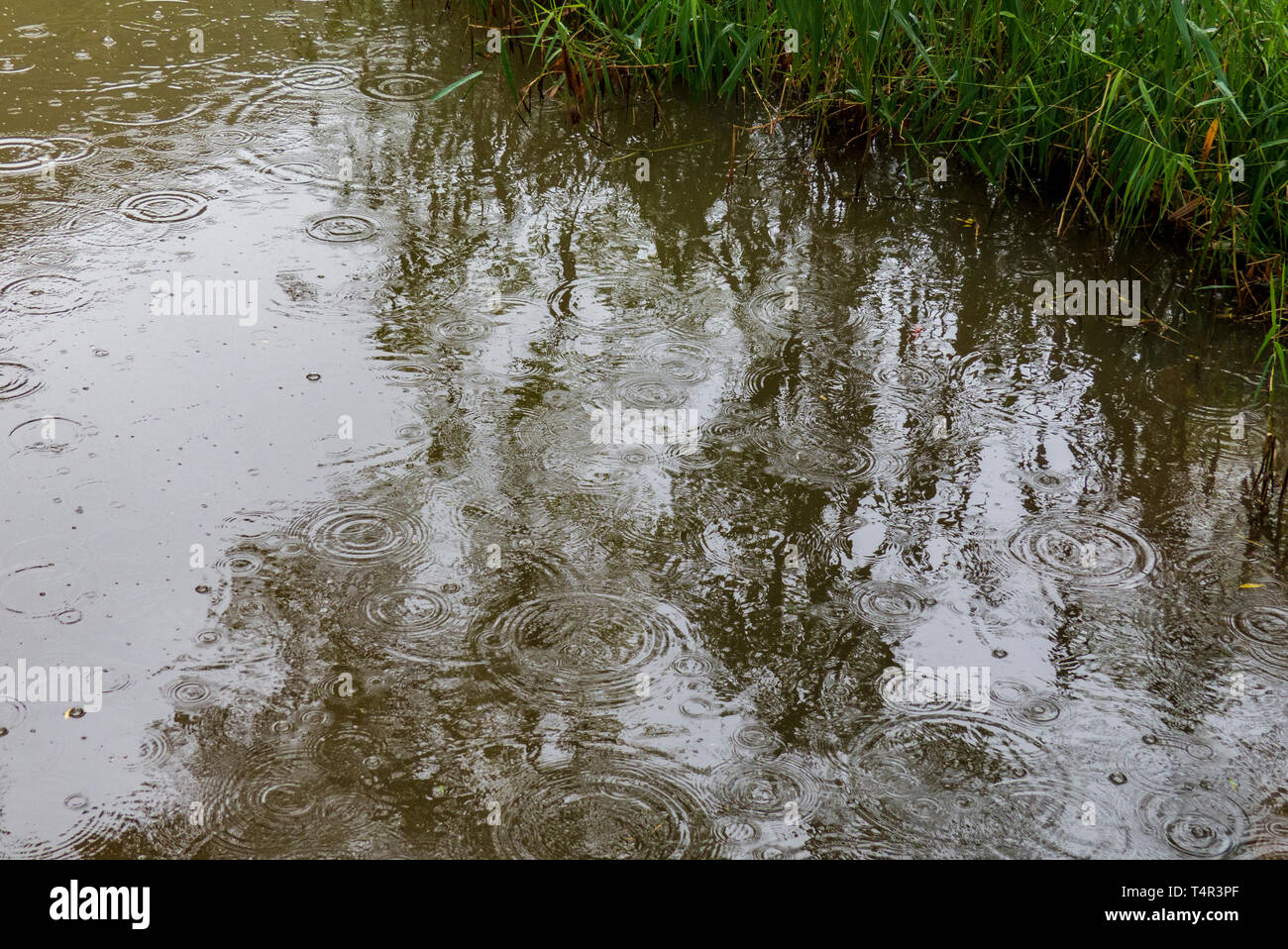 Black Dragon Pool in Lijiang, Yunnan Province, China Stock Photo - Alamy