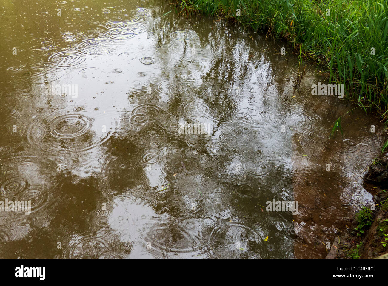 Black Dragon Pool in Lijiang, Yunnan Province, China Stock Photo - Alamy