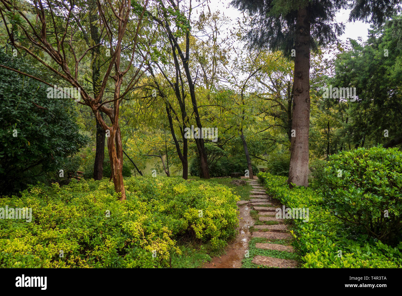 Black Dragon Pool in Lijiang, Yunnan Province, China Stock Photo - Alamy