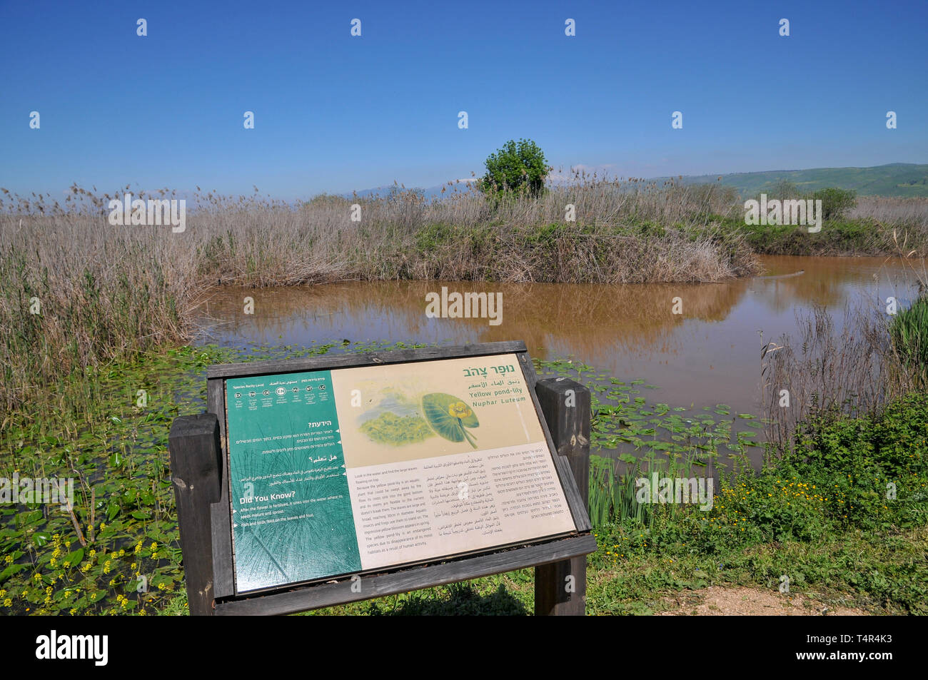 Hahula valley hi-res stock photography and images - Alamy