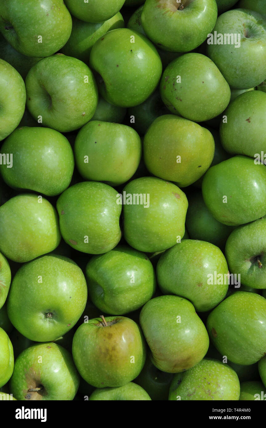 a stack of Green Granny Smith apples in the market Stock Photo - Alamy