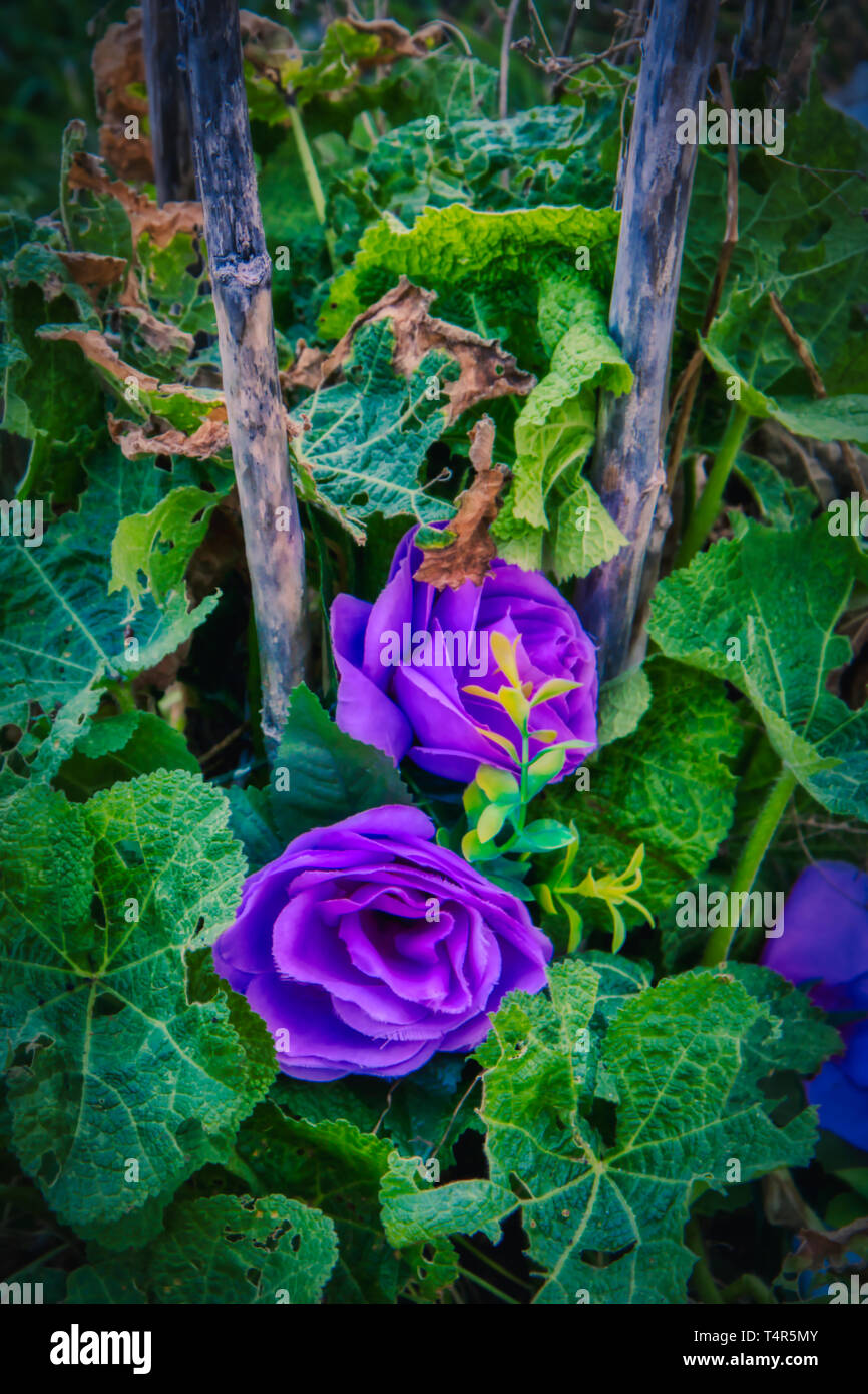 Rag flowers integrated into nature Stock Photo - Alamy