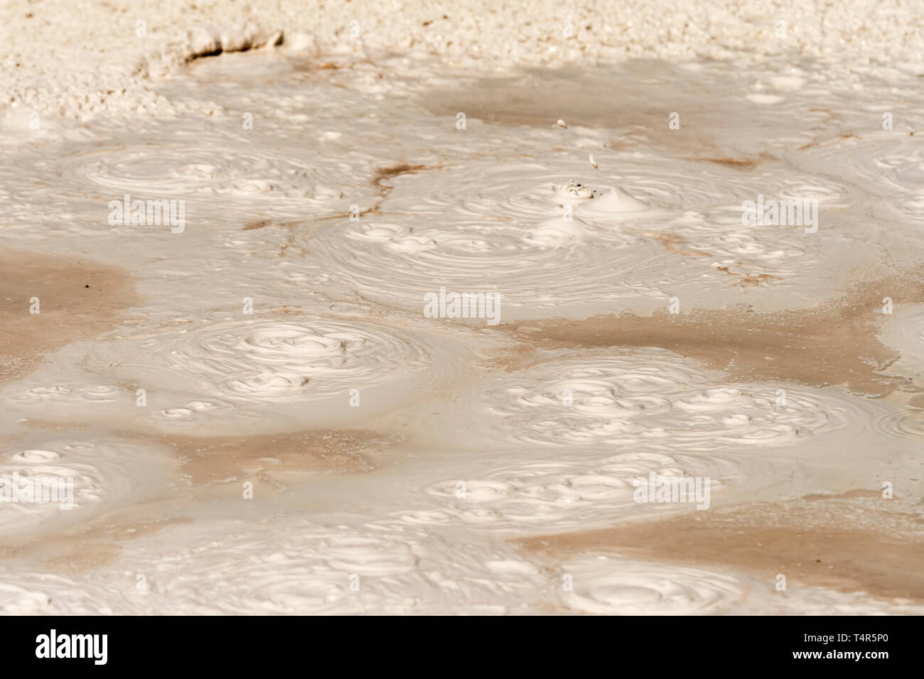Fountain Paint Pot trail between gayser, boiling mud pools and burnt ...