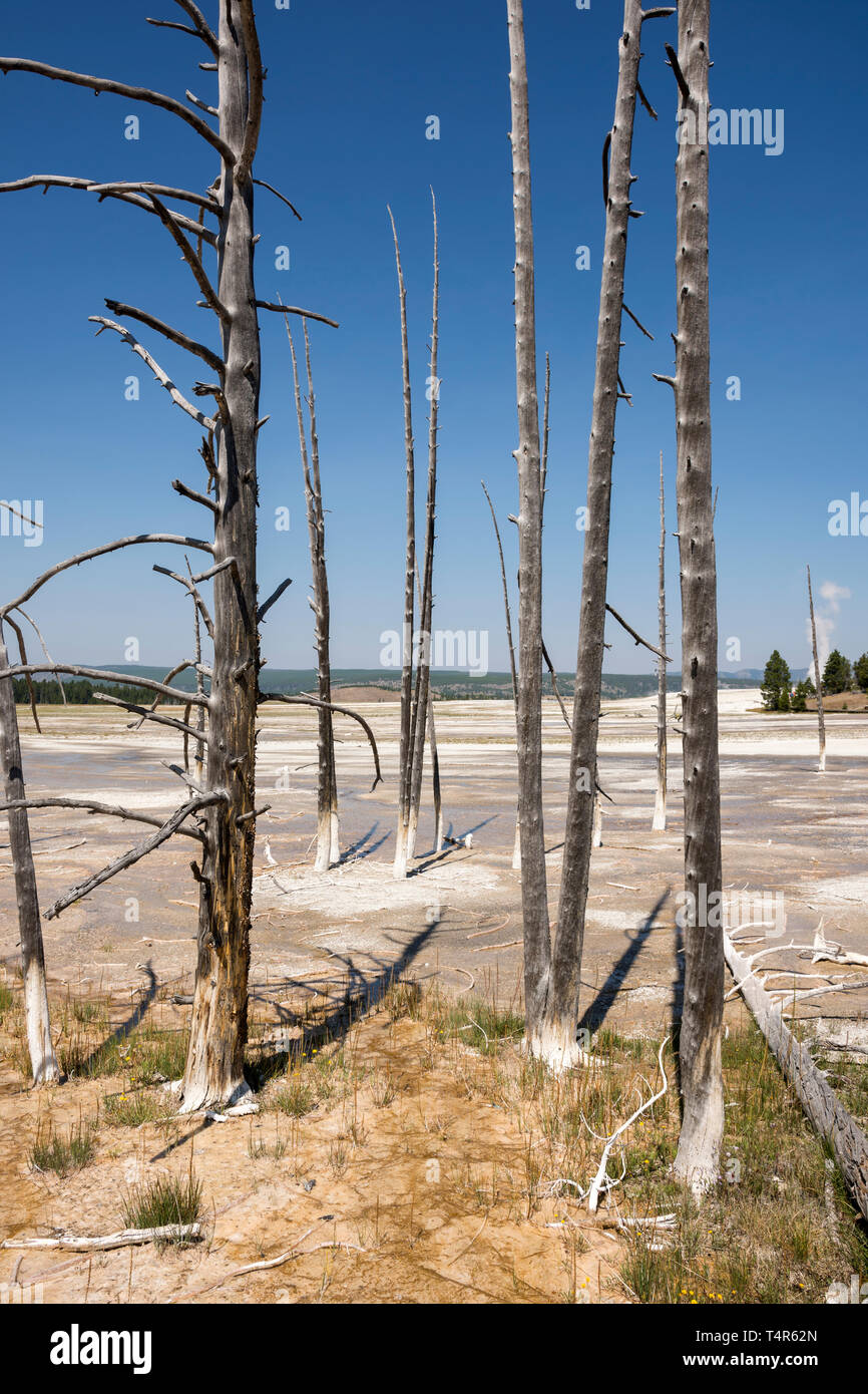 Boiling pot trail hi-res stock photography and images - Alamy