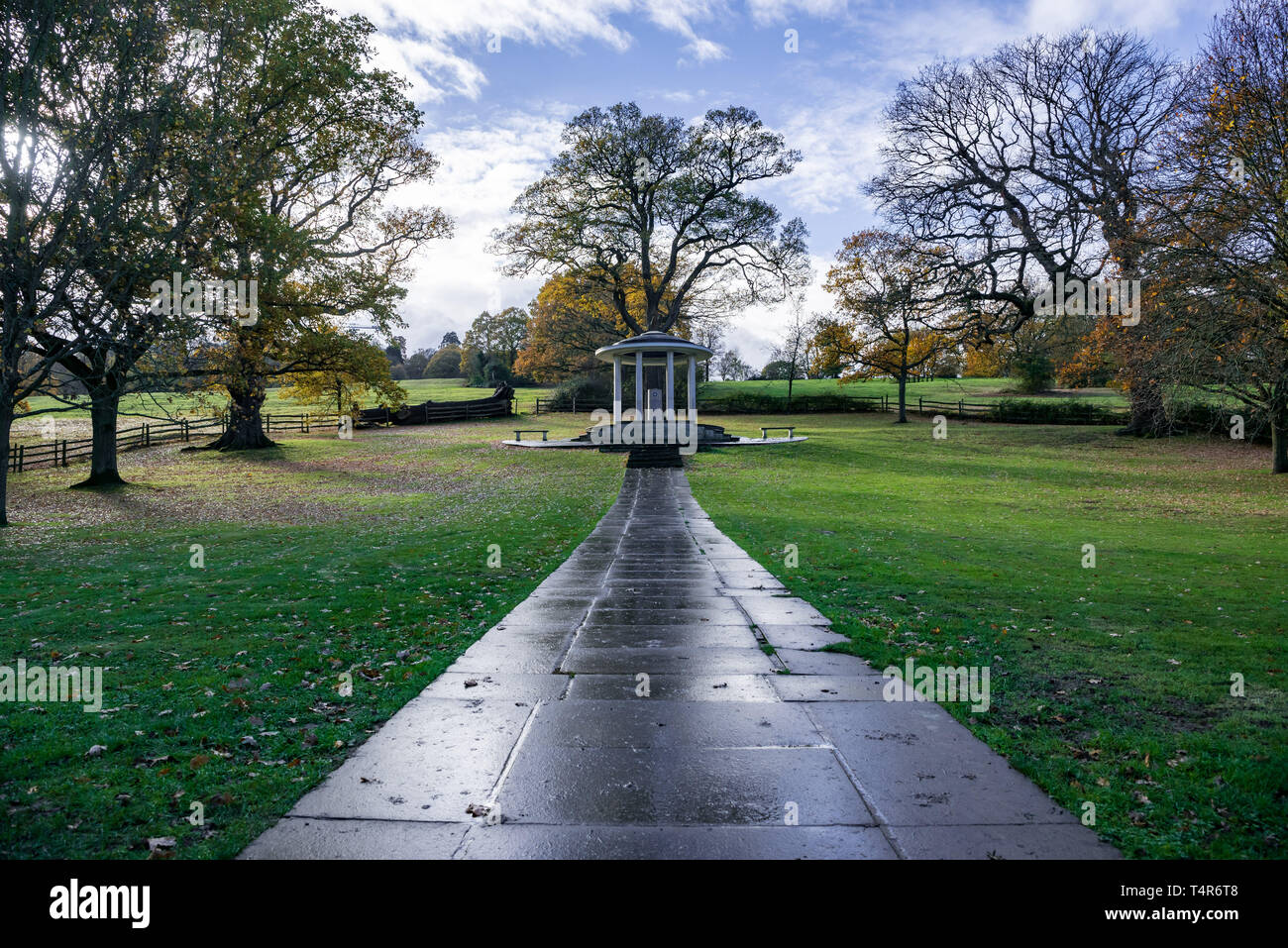 Tree ankerwycke, runnymede hi-res stock photography and images - Alamy