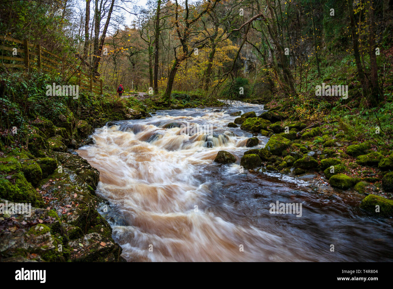 The River Twiss on the Ingleton Waterfalls Trail, Yorkshire Dales ...