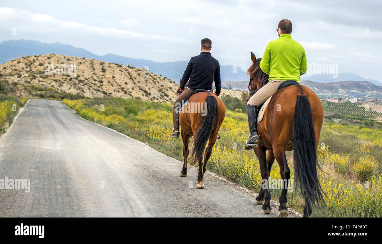 Medieval horses and riders hi-res stock photography and images - Alamy