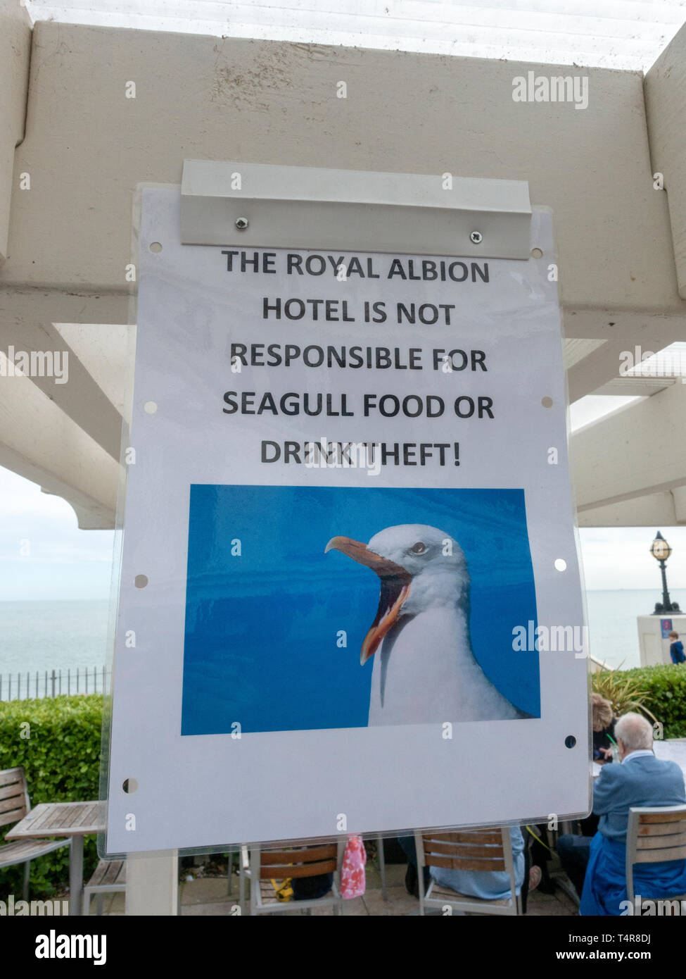 Seagull stealing food hi-res stock photography and images - Alamy