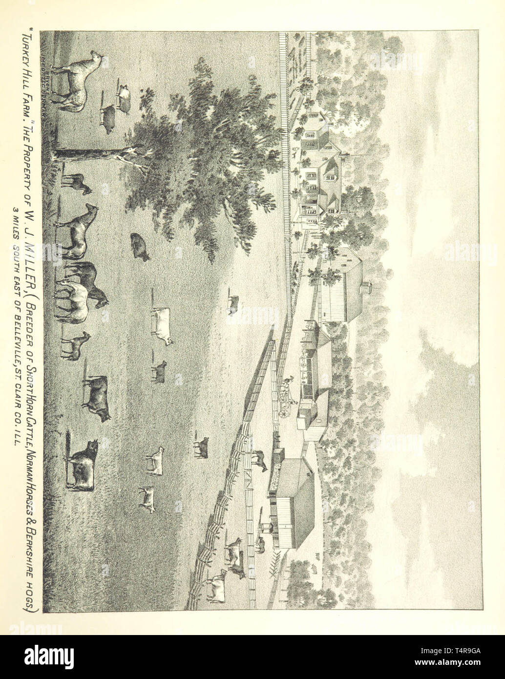 History of St. Clair County Illinois Stock Photo - Alamy