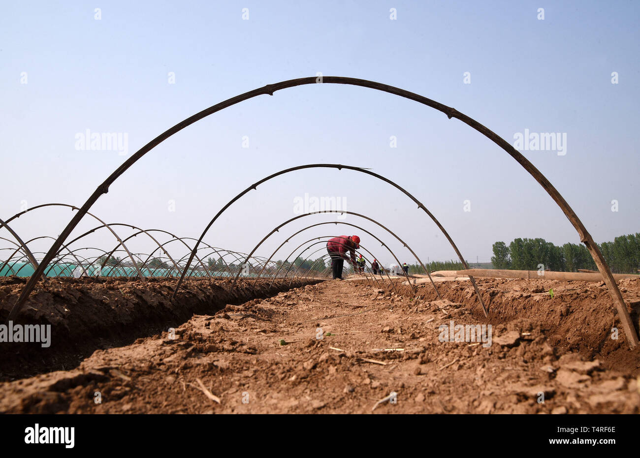 Handan, Handan, China. 19th Apr, 2019. Handan, CHINA-Peasants are busy ...