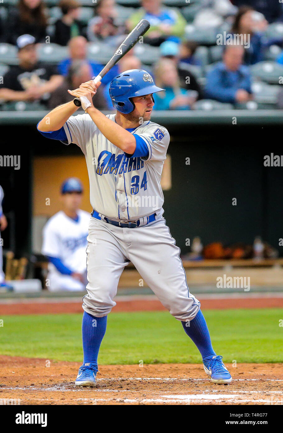 Susac hi-res stock photography and images - Alamy