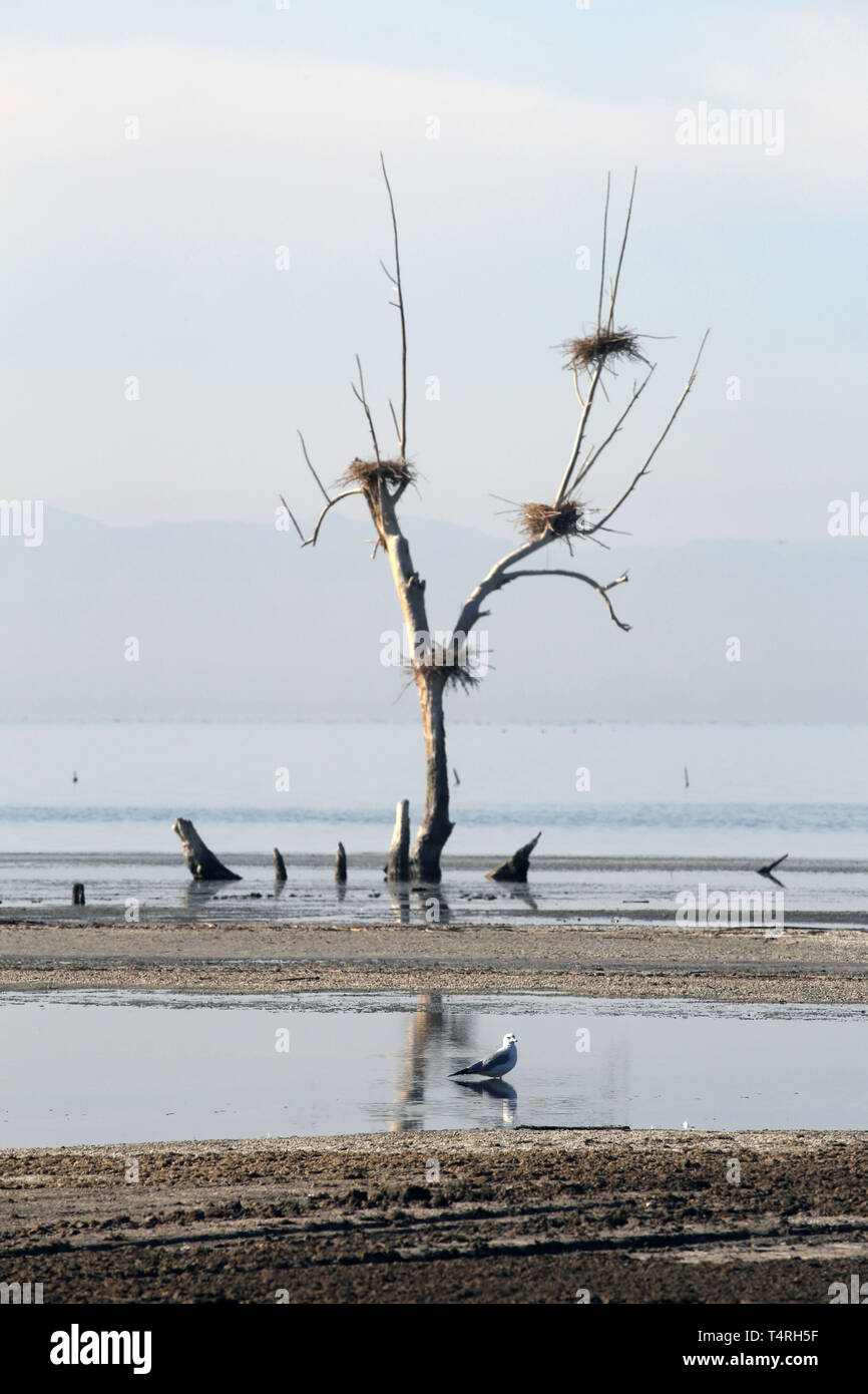 Dead sea fault hi-res stock photography and images - Alamy