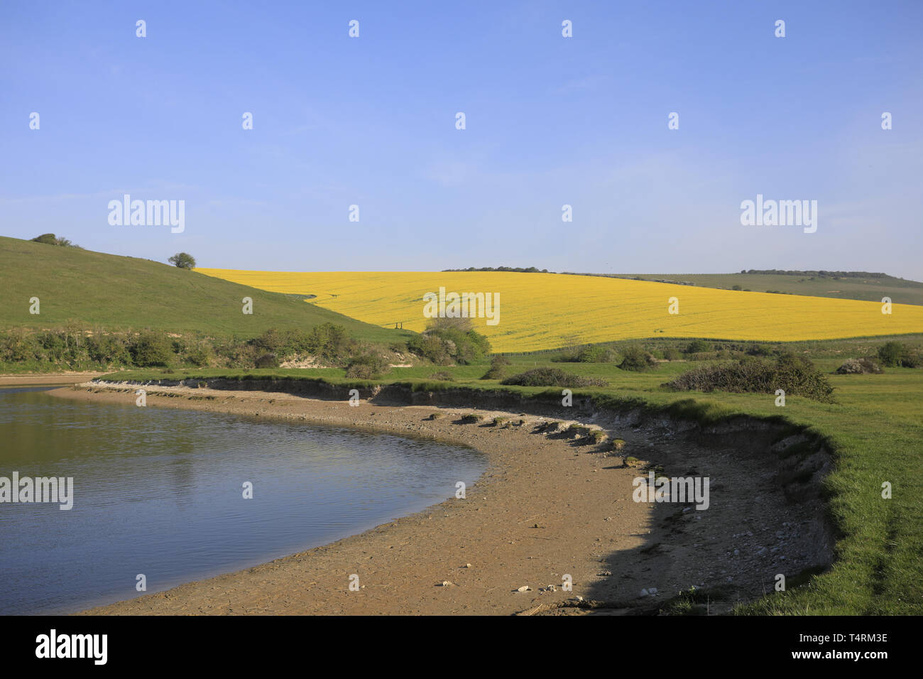 Cuckmere valley.19th Apr 2019.Uk weather.Beautiful blue skies over the ...