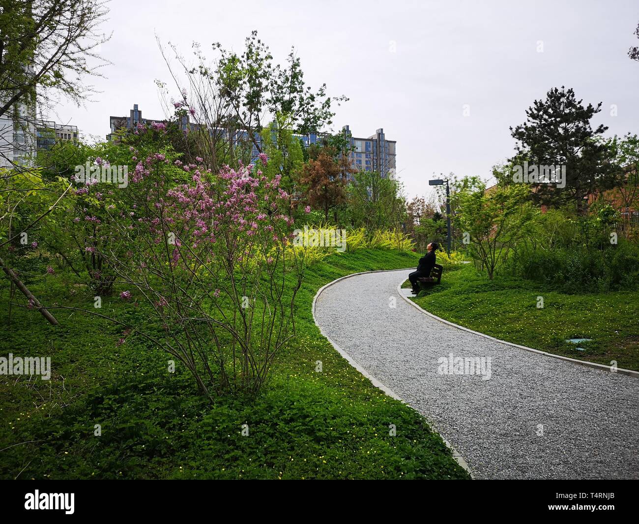 Jing ding hi-res stock photography and images - Alamy