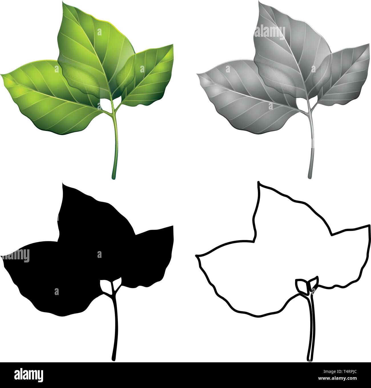 Set of nature leaf illustration Stock Vector Image & Art - Alamy