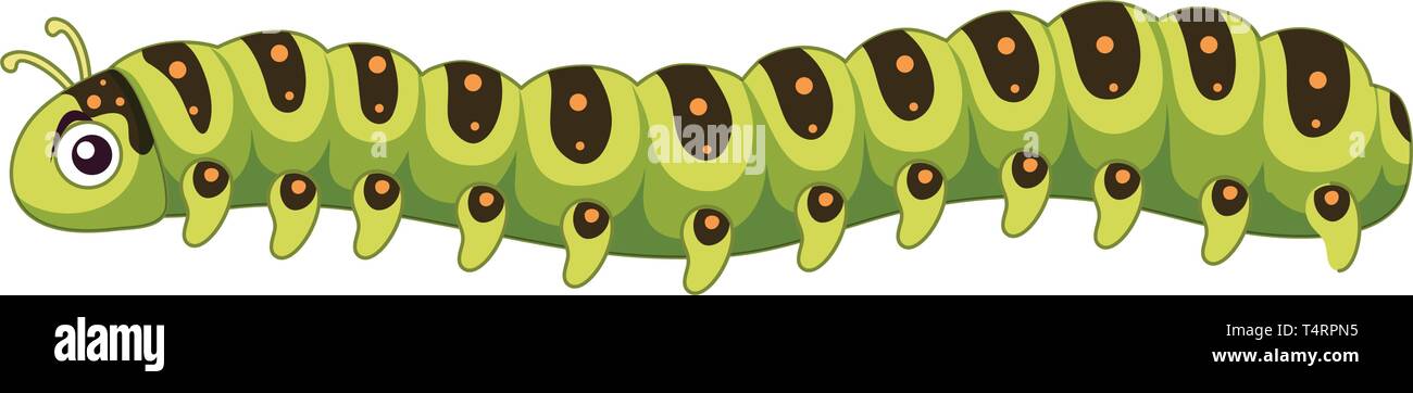 A caterpillar on white background illustration Stock Vector Image & Art ...