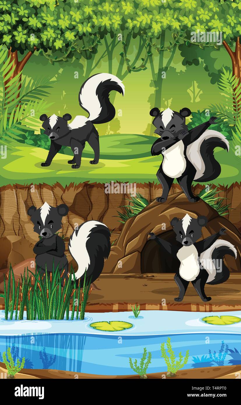 Four skunks In Jungle illustration Stock Vector Image & Art - Alamy