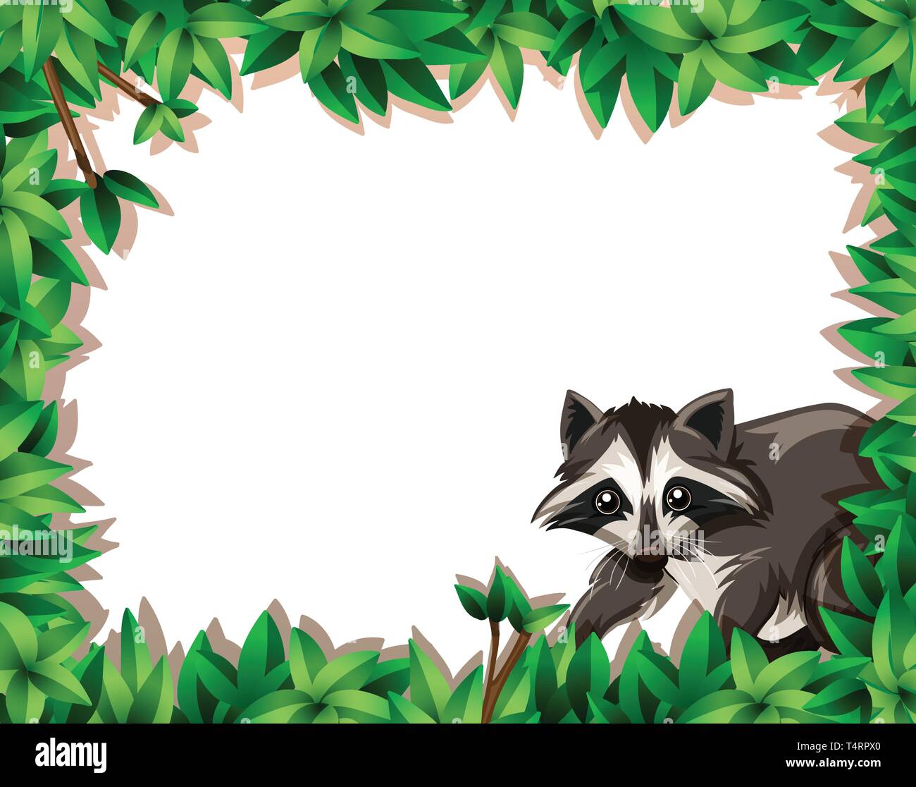 Raccoon on nature frame illustration Stock Vector Image & Art - Alamy