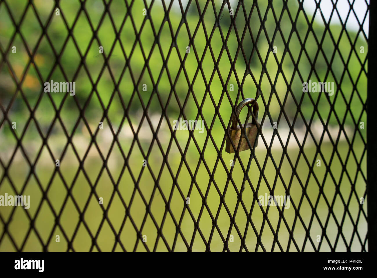 The lock on metal wire net Stock Photo - Alamy
