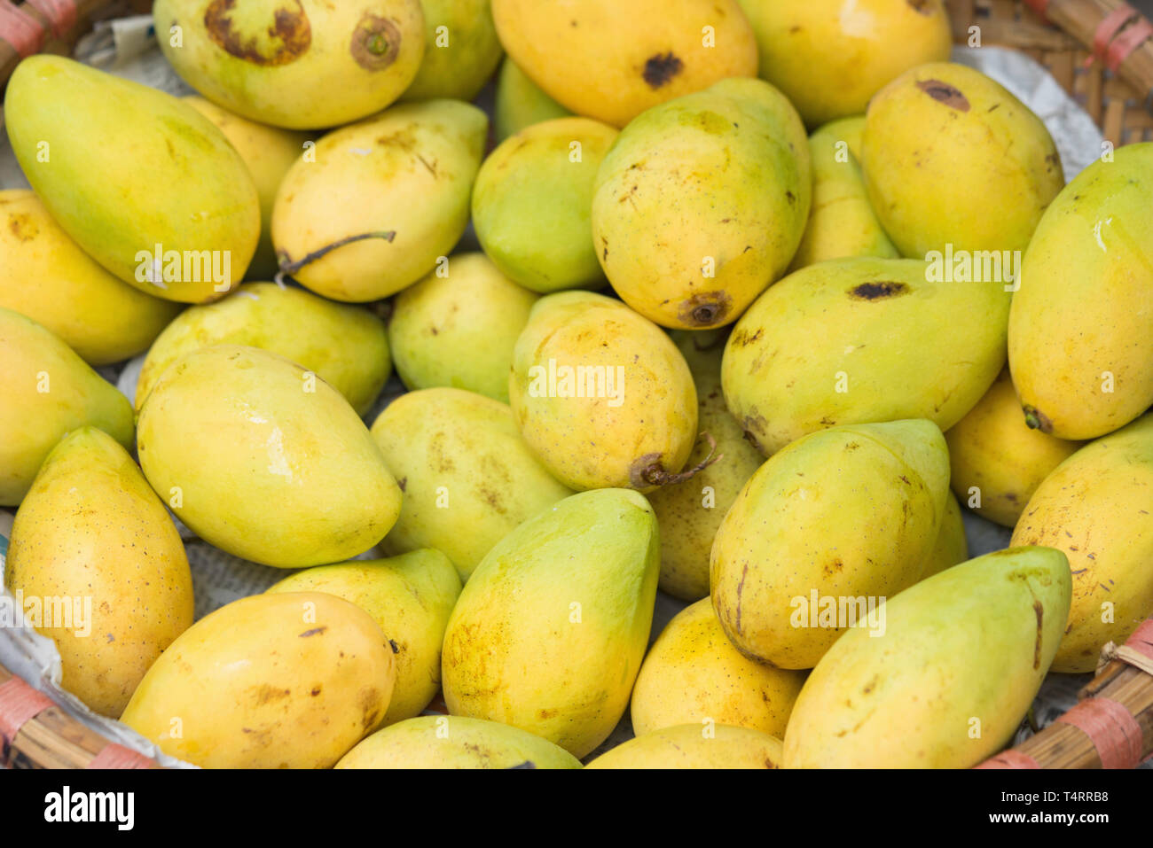 Yellow mango. Asian tropical fruits for sale Stock Photo - Alamy