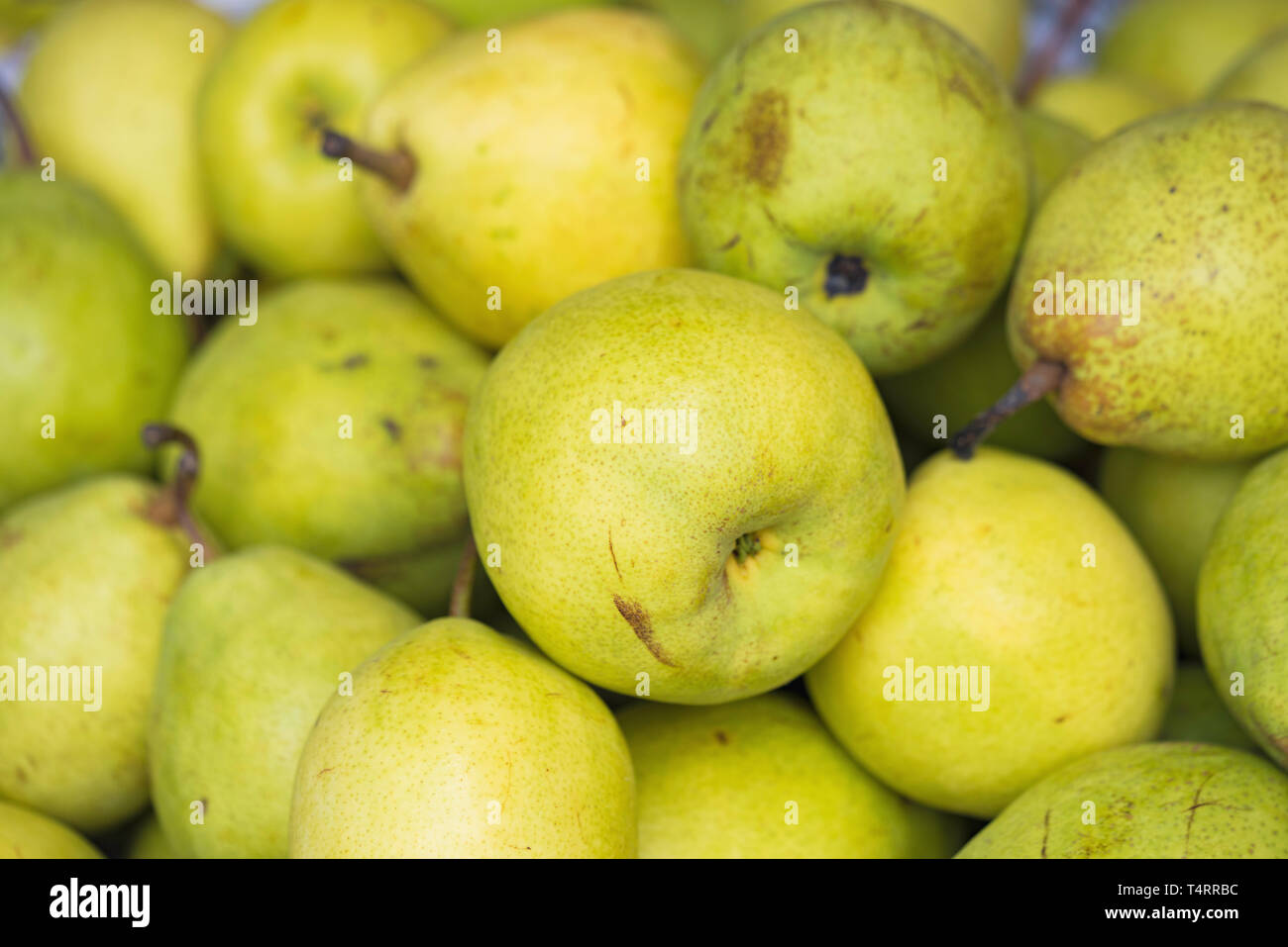 Yellow Pear background. Asian tropical fruits for sale Stock Photo - Alamy