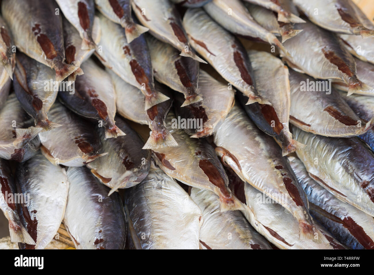 Outdoor dried fish for food in Vietnam Stock Photo - Alamy