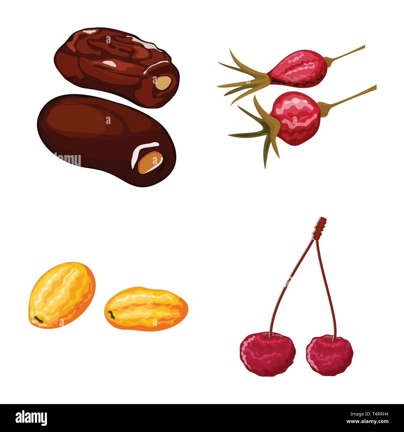 Vector illustration of fruit and dried sign. Set of fruit and food ...