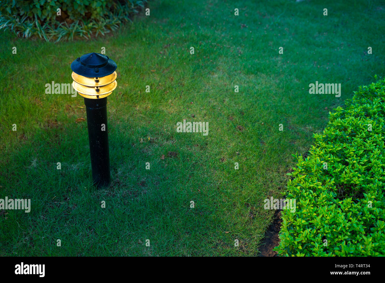 Night Garden Shrub Lighting High Resolution Stock Photography and ...
