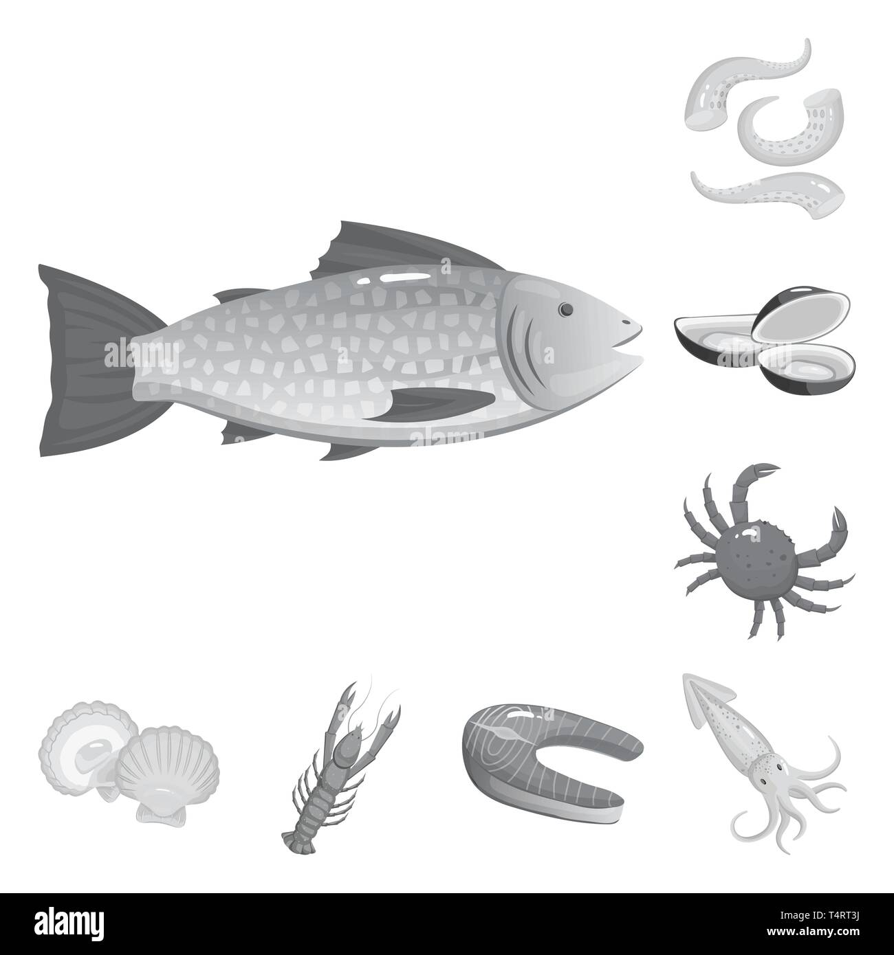 salmon,octopus,mussel,crab,jellyfish,lobster,fish,squid,jelly,shell ...