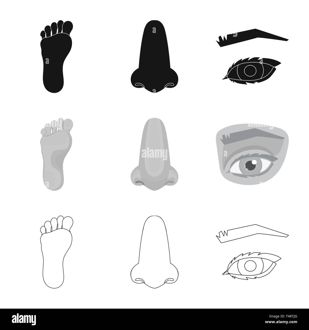 Vector design of body and part sign. Set of body and anatomy stock ...