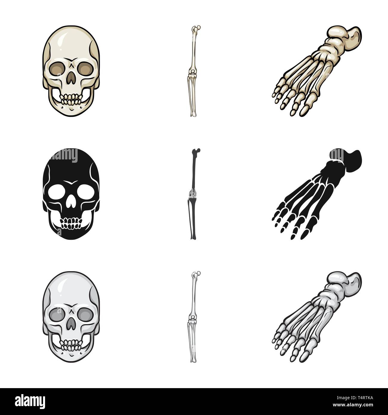 skull,knee,foot,death,joint,ankle,monster,meniscus,healthy,evil,body ...