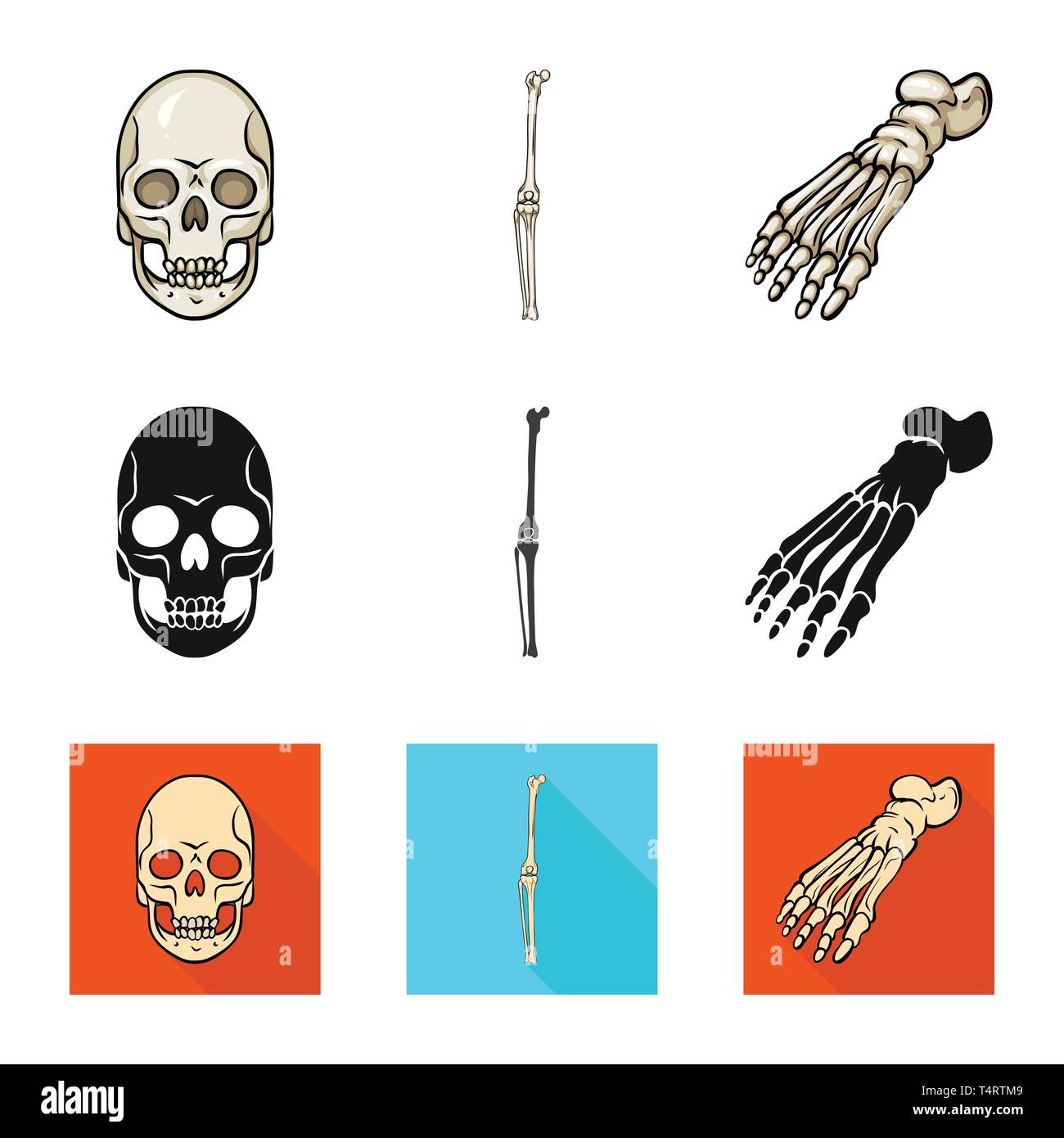 skull,knee,foot,death,joint,ankle,monster,meniscus,healthy,evil,body ...