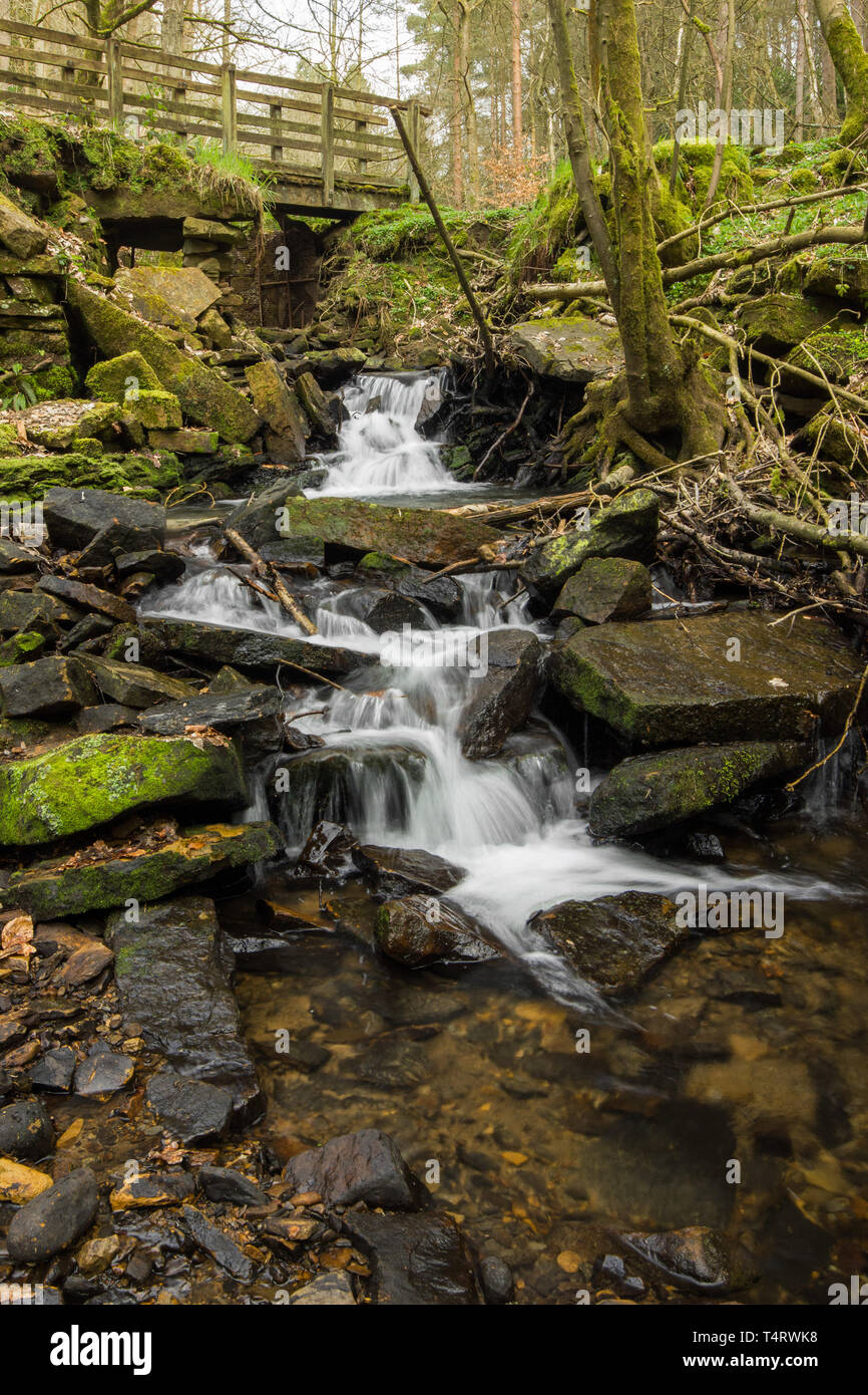 Small waterfall from Halldale Woods, Derbyshire - Peak district UK ...