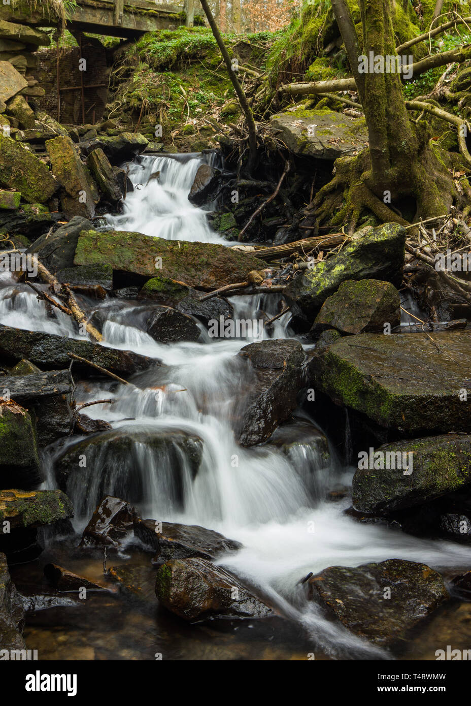 Small waterfall from Halldale Woods, Derbyshire - Peak district UK ...