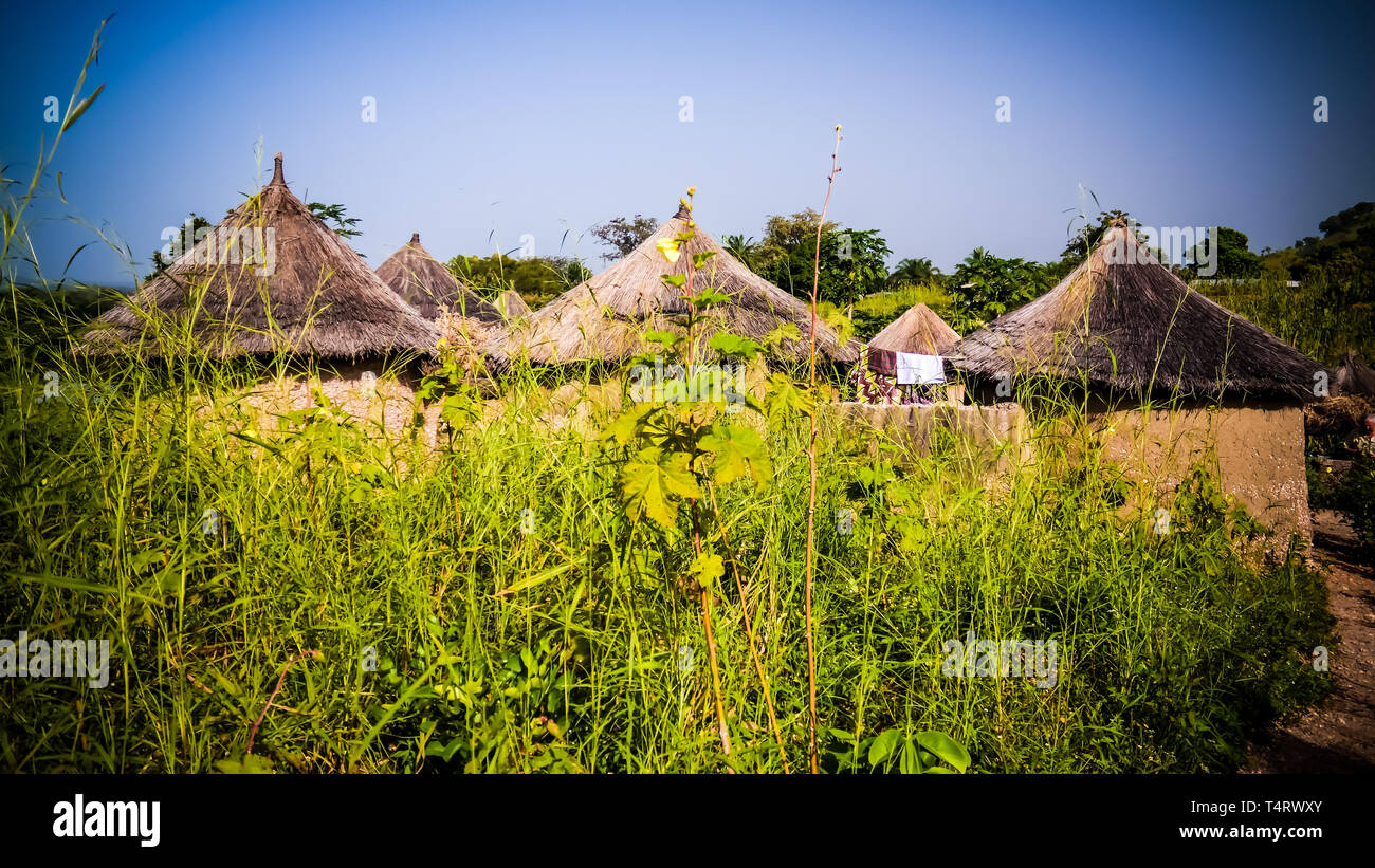 Ewe tribe hi-res stock photography and images - Alamy