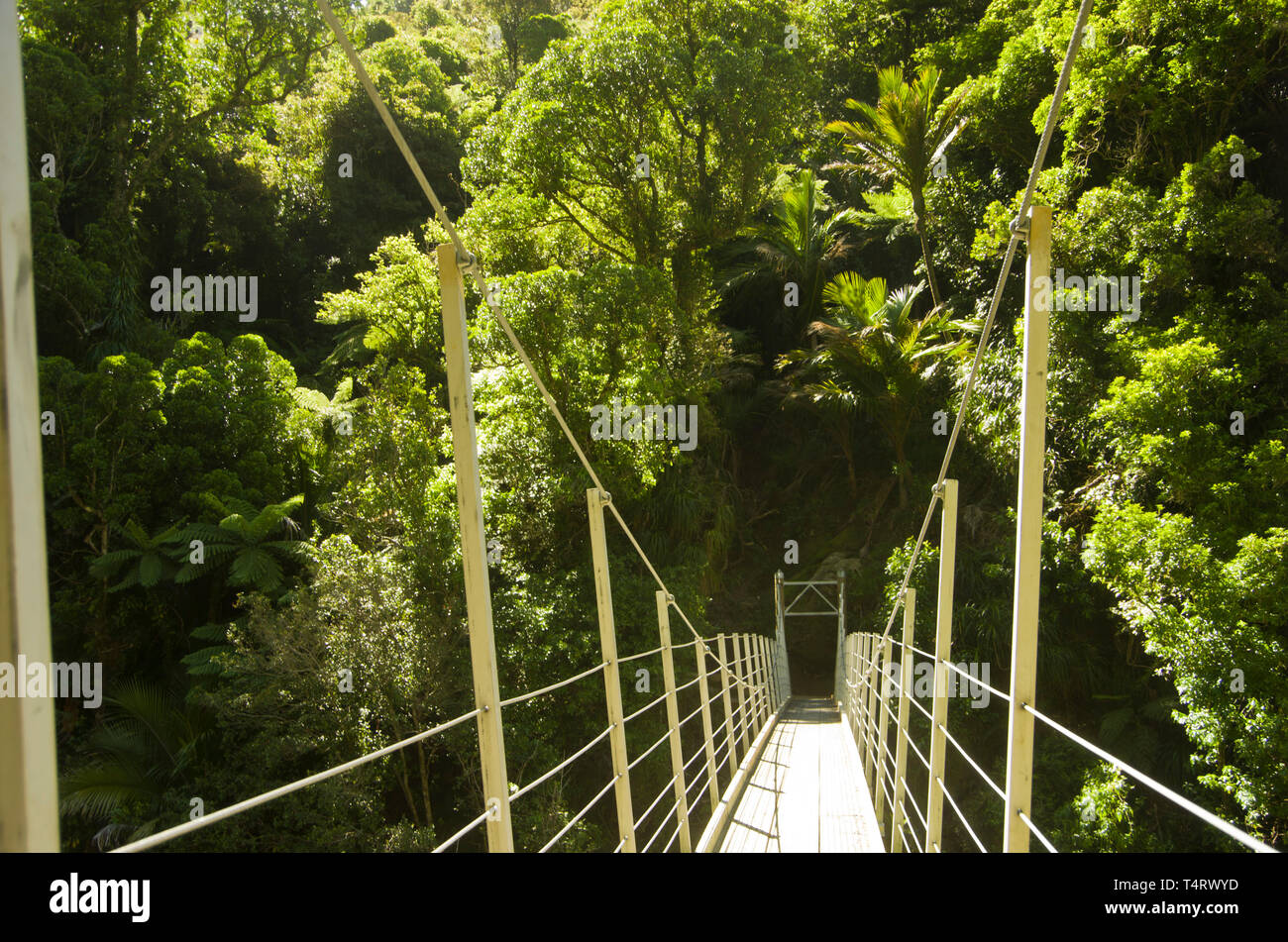 Abel Tasman National Park, New Zealand Stock Photo - Alamy