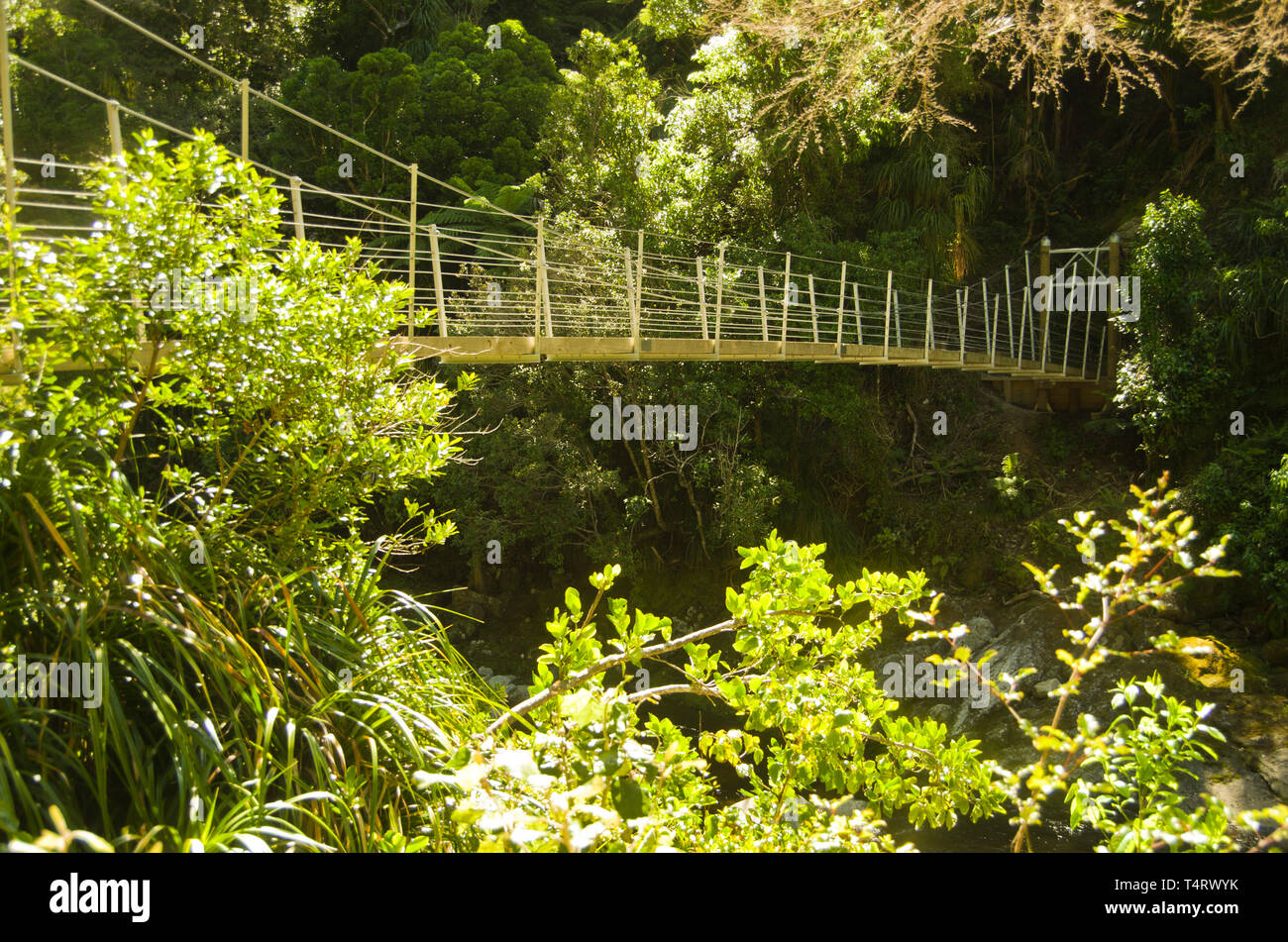 Abel Tasman National Park, New Zealand Stock Photo - Alamy