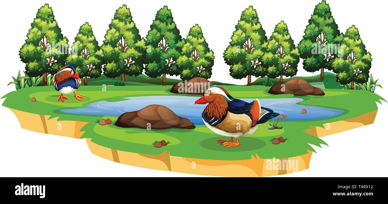 Duck Pond Game Clipart
