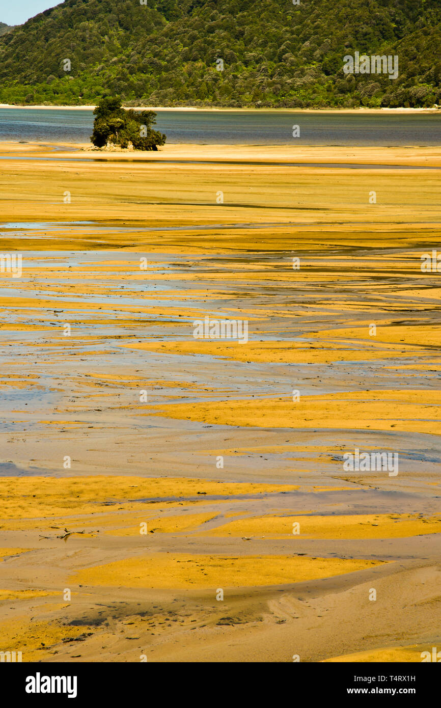 Abel Tasman National Park, New Zealand Stock Photo - Alamy