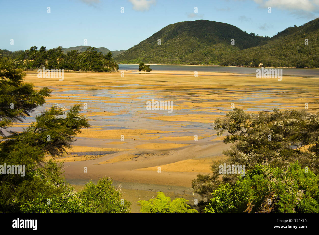 Abel Tasman National Park, New Zealand Stock Photo - Alamy