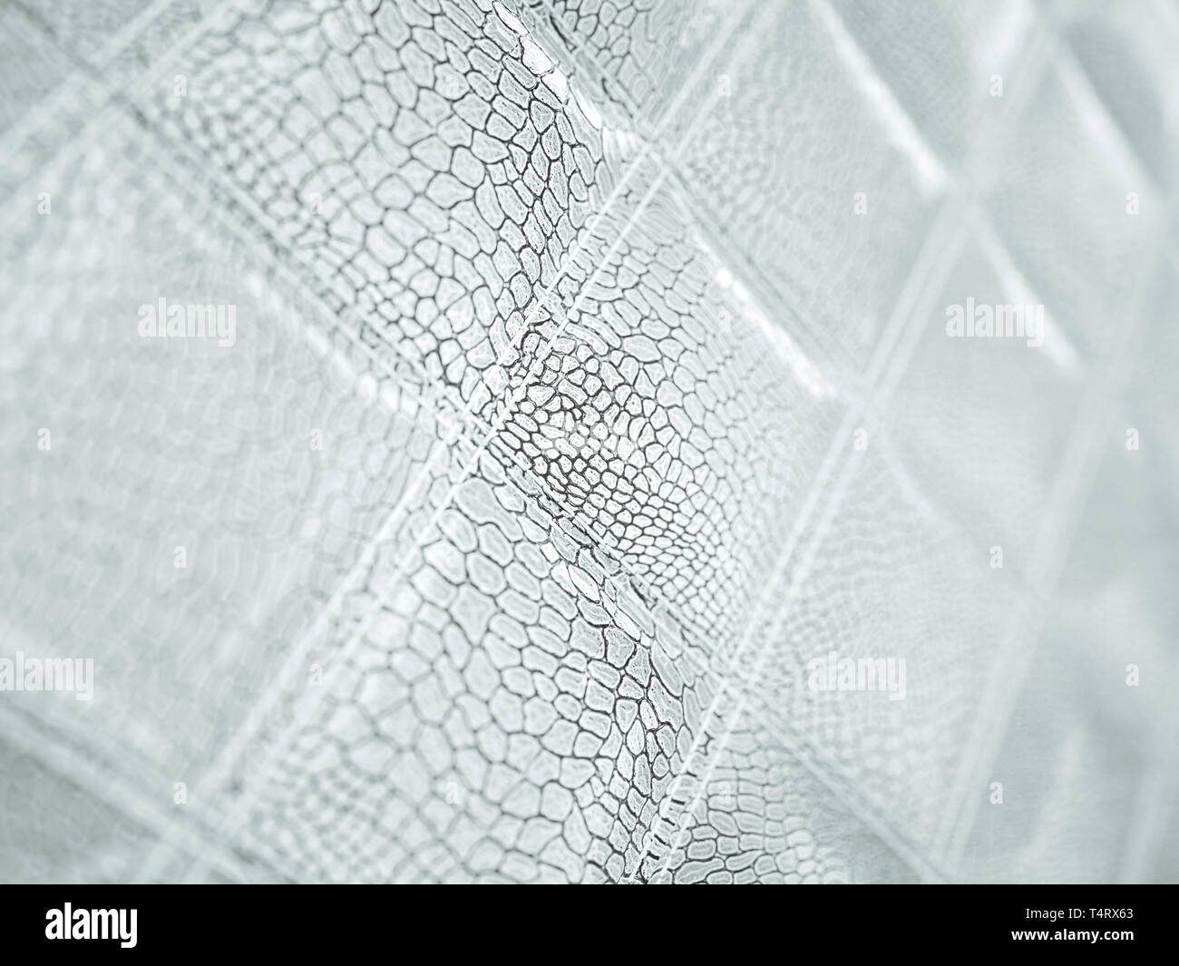 Alligator or crocodile Leather. Square stitched texture or background ...