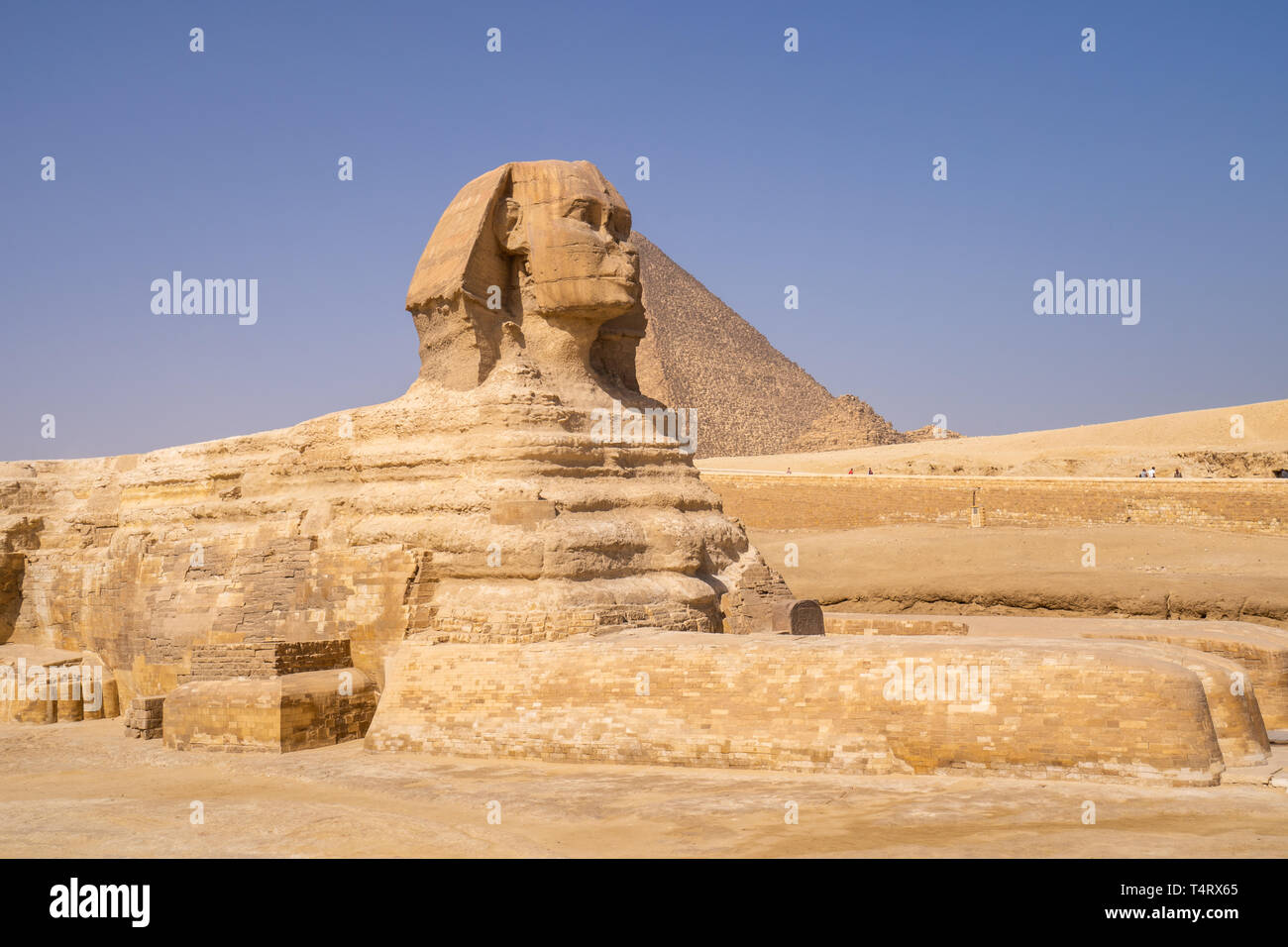 Great Sphinx of Giza, with the Great Pyramid in the background Stock ...