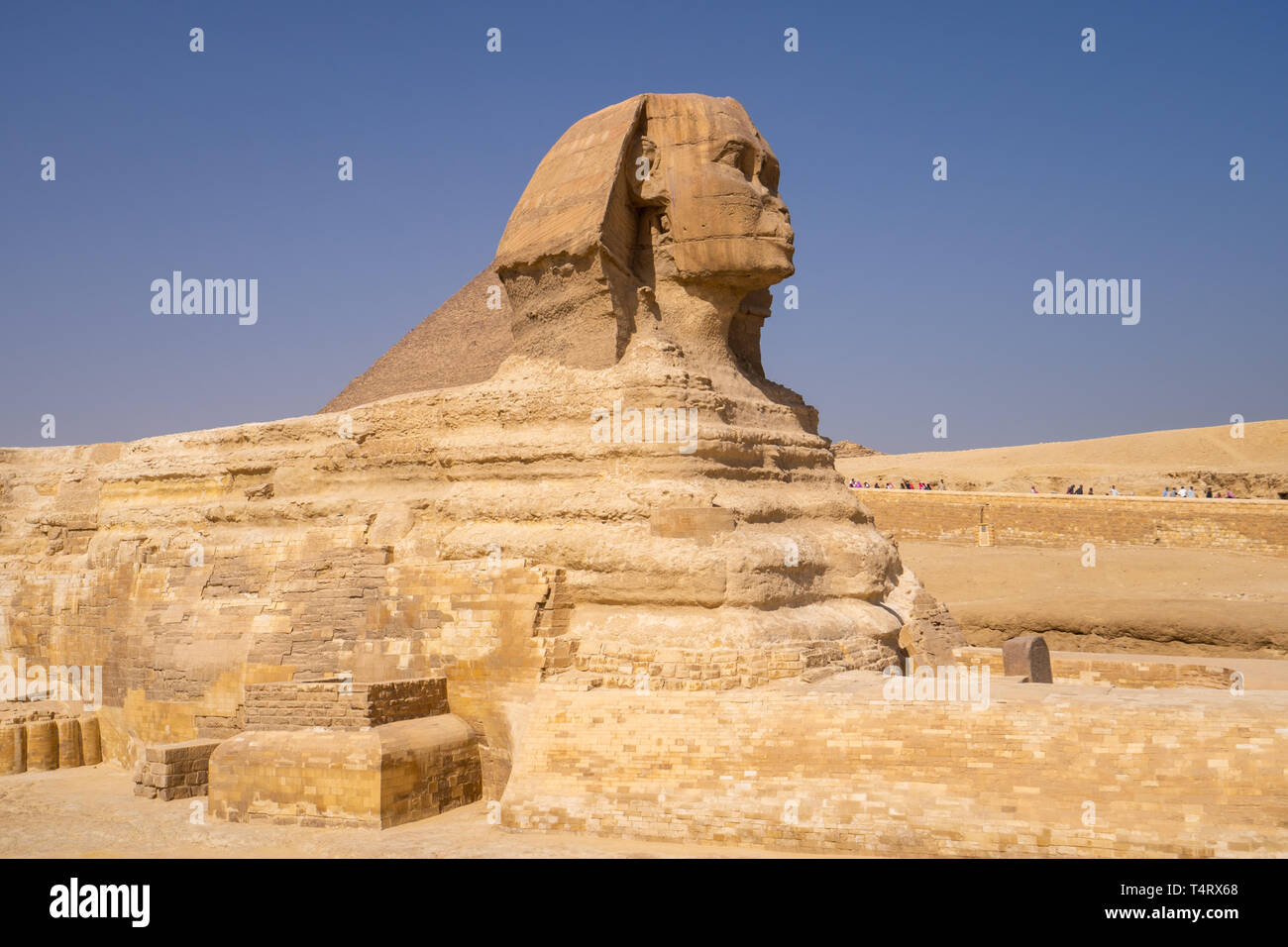 Great Sphinx of Giza, with the Great Pyramid in the background Stock ...